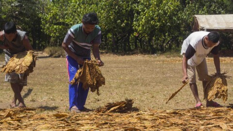 Review Rokok Country Merah, Kembarannya Marlboro? - Komunitas Kretek